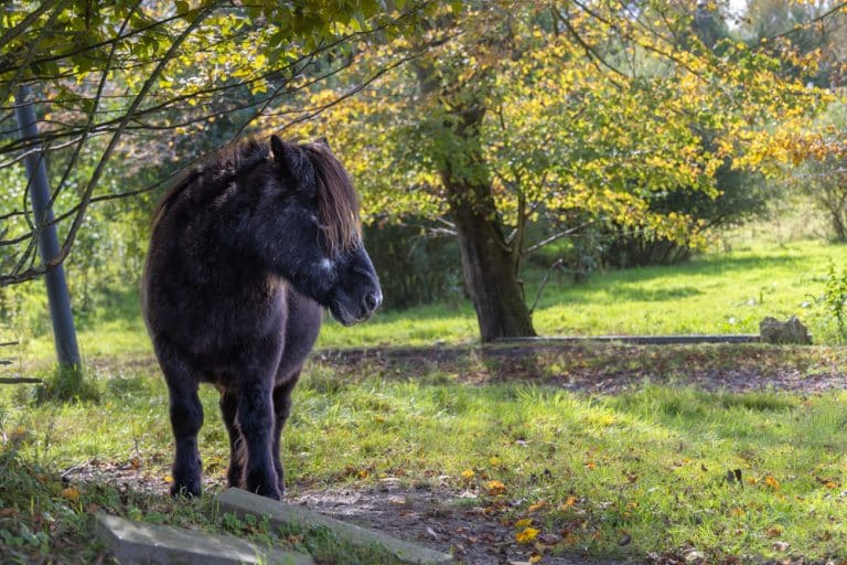 Rekken, Locatie Oldenkotte | Tactus Verslavingszorg