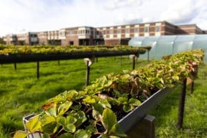 Rekken, Locatie Oldenkotte | Tactus Verslavingszorg